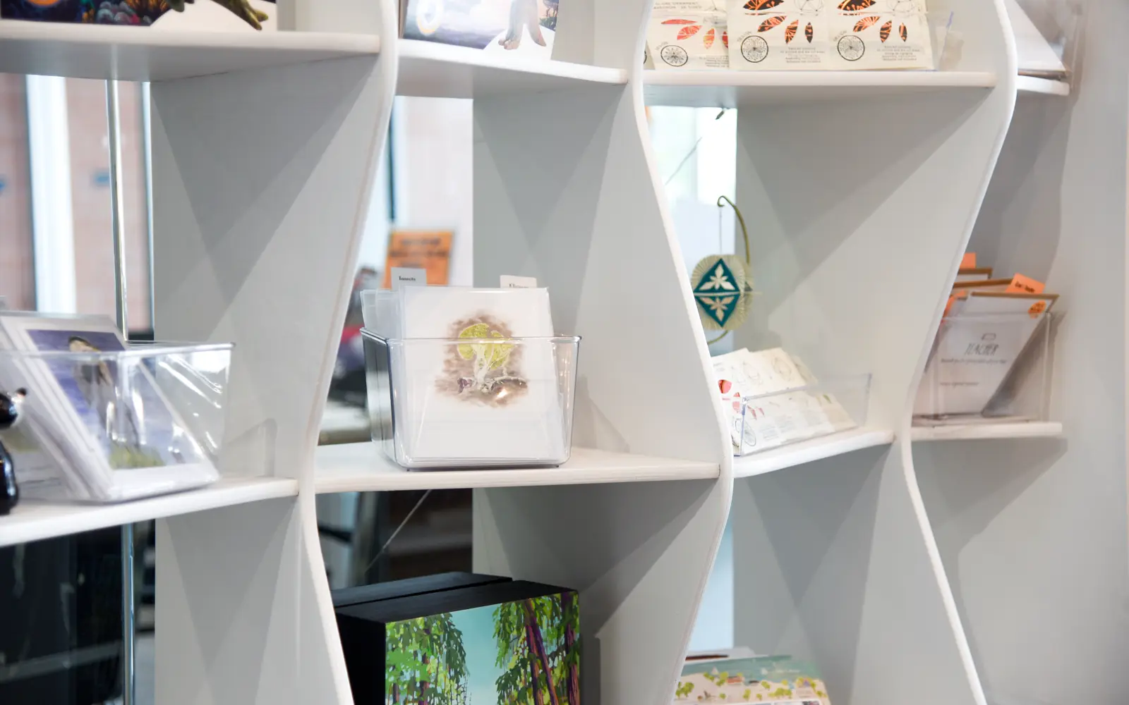 The Gallery Shop | Town of Grimsby